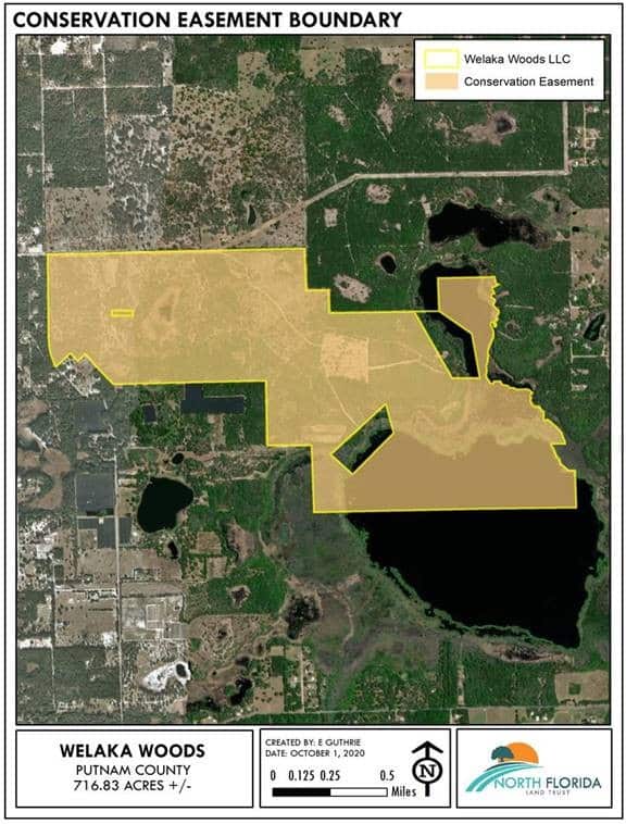 North Florida Land Trust has received its largest conservation easement ...