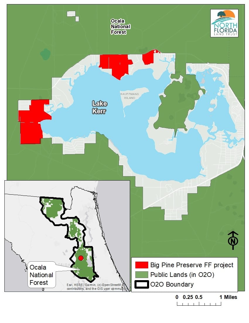 North Florida Land Trust is closer to preserving 541 acres within the ...