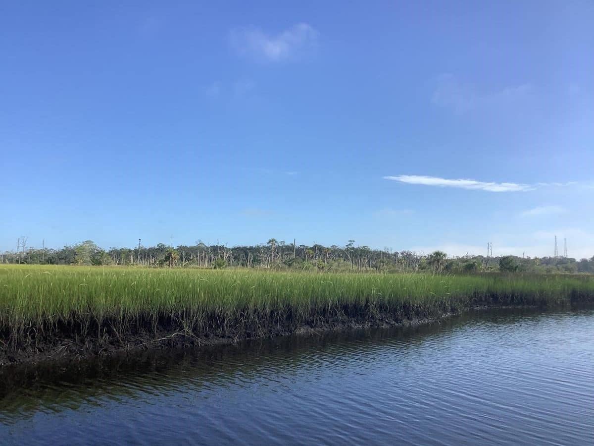 North Florida Land Trust has joined the South Atlantic Salt Marsh ...