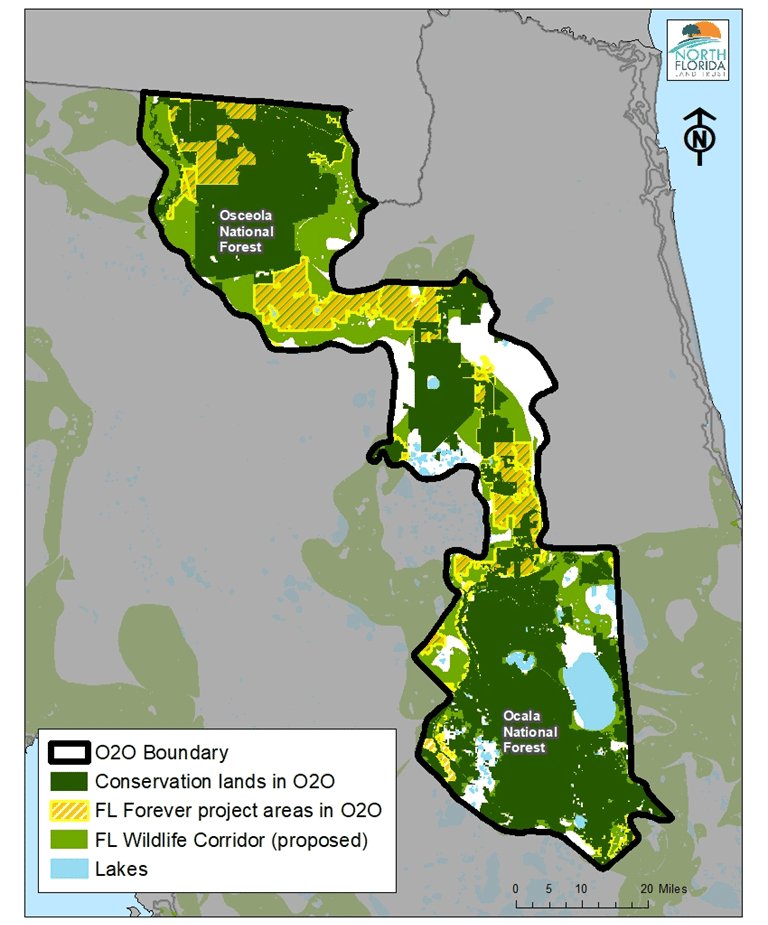 A Win for Conservation – Governor Ron DeSantis has signed the Florida ...