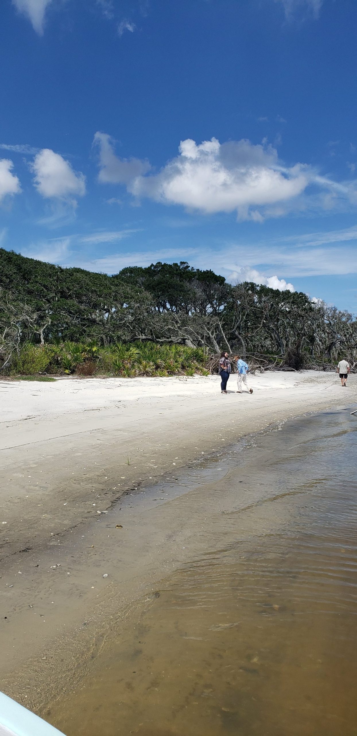 North Florida Land Trust has helped to protect Little Tiger Island in ...