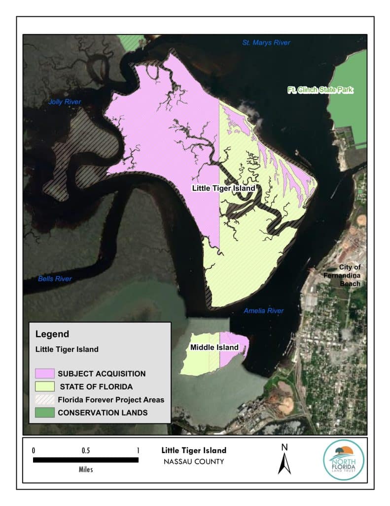 North Florida Land Trust has helped to protect Little Tiger Island in ...