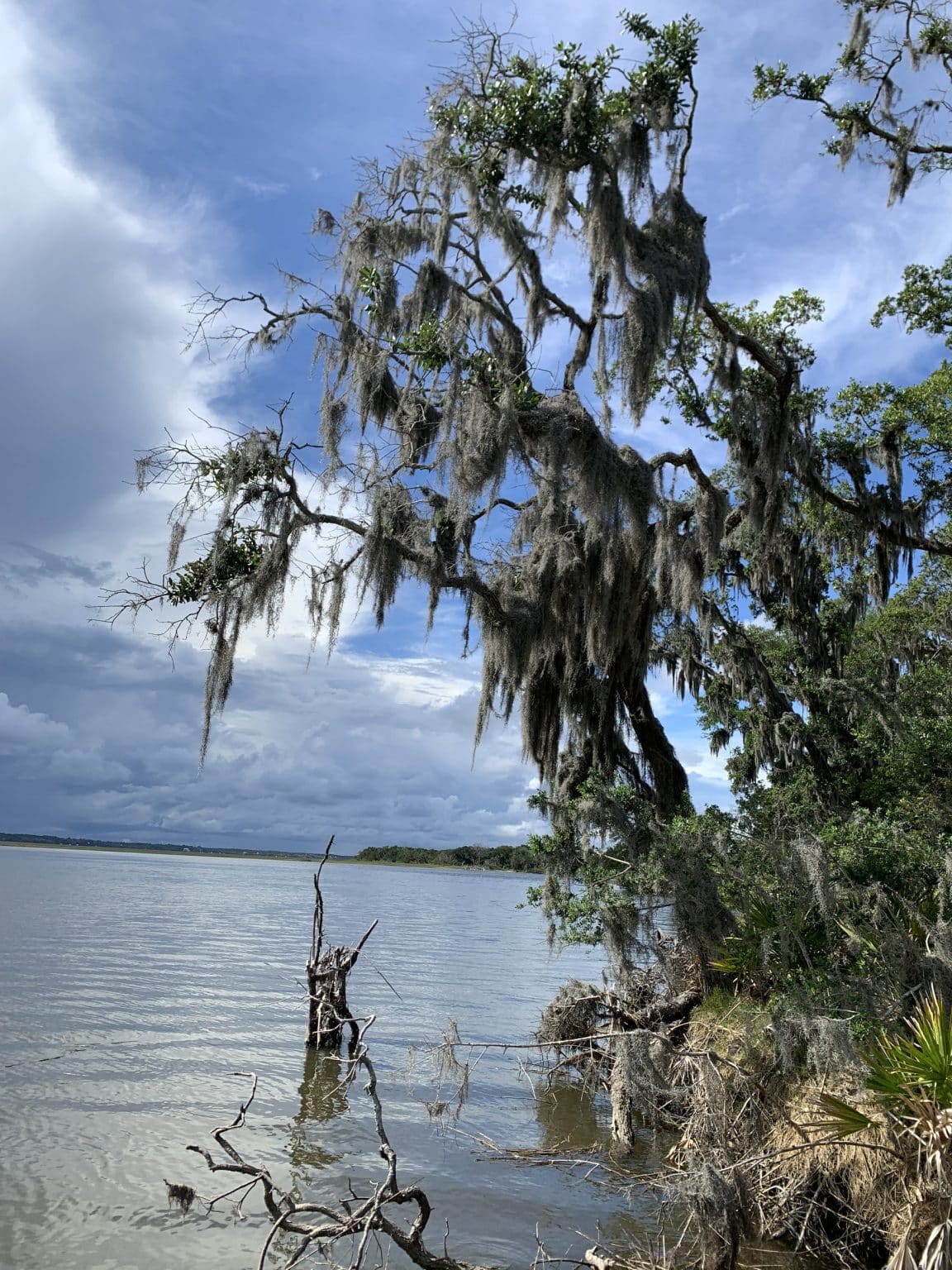 North Florida Land Trust has helped to protect Little Tiger Island in ...