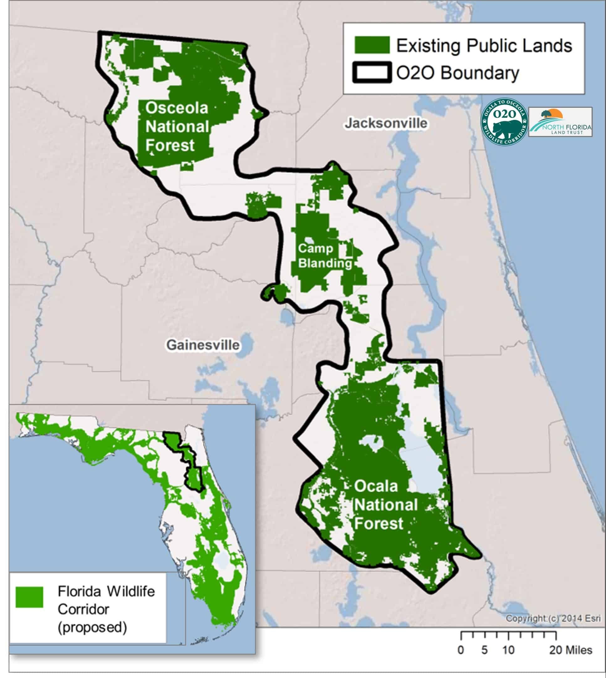 Ocala to Osceola Wildlife Corridor - North Florida Land Trust