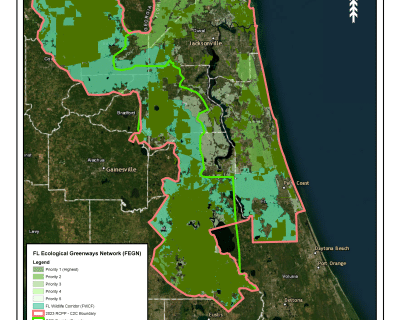 North Florida Land Trust