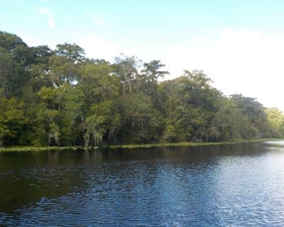 North Florida Land Trust