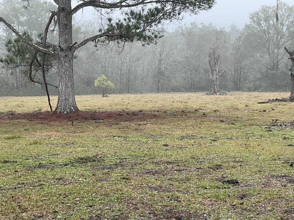 Conservation Easements are an Important Tool for Preserving Land in ...