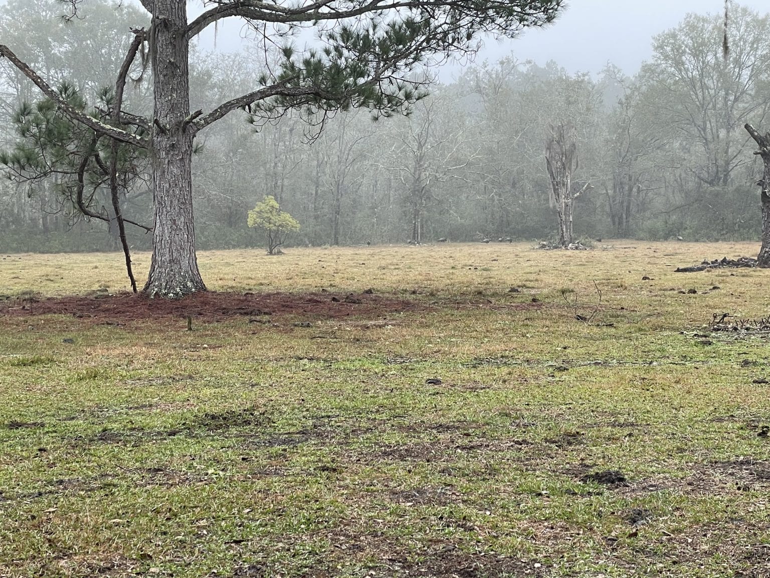 Conservation Easements are an Important Tool for Preserving Land in ...