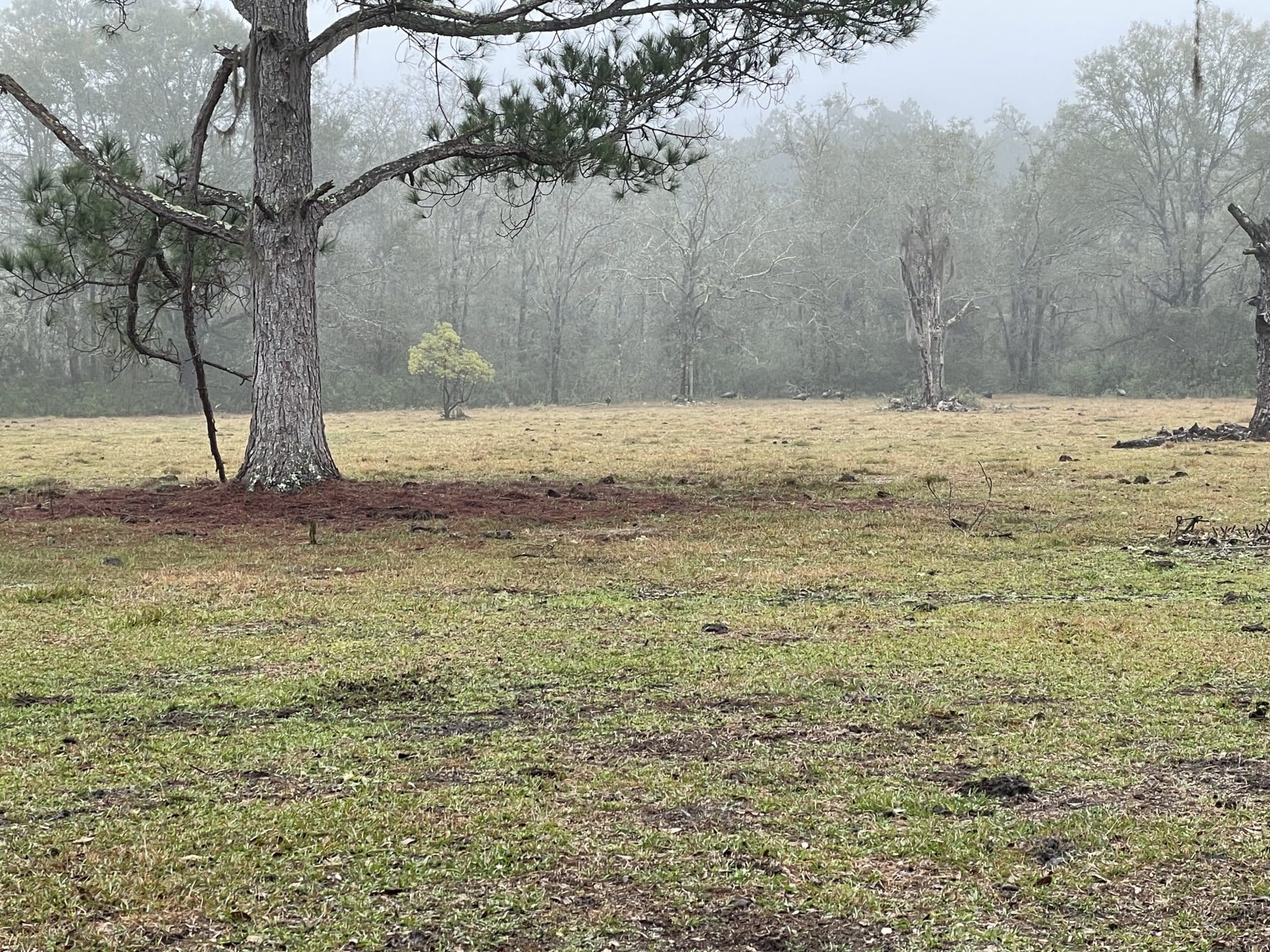 Conservation Easements are an Important Tool for Preserving Land in ...