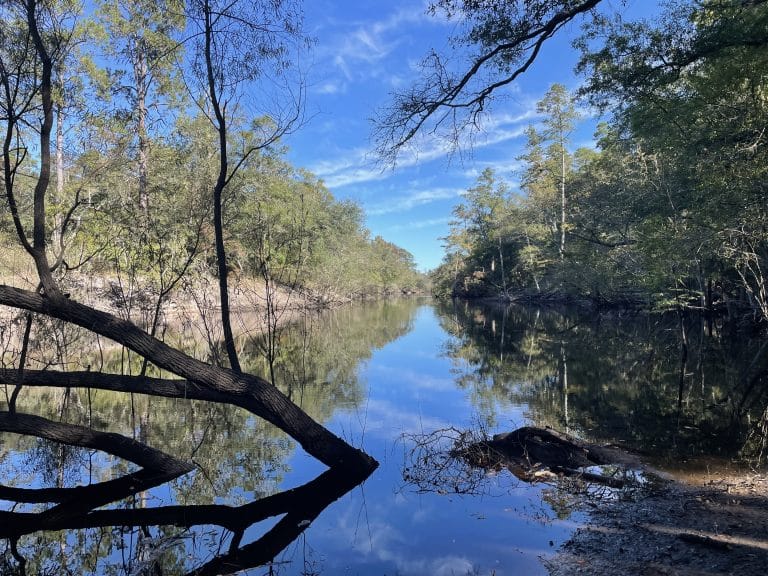 Conservation Easements are an Important Tool for Preserving Land in ...