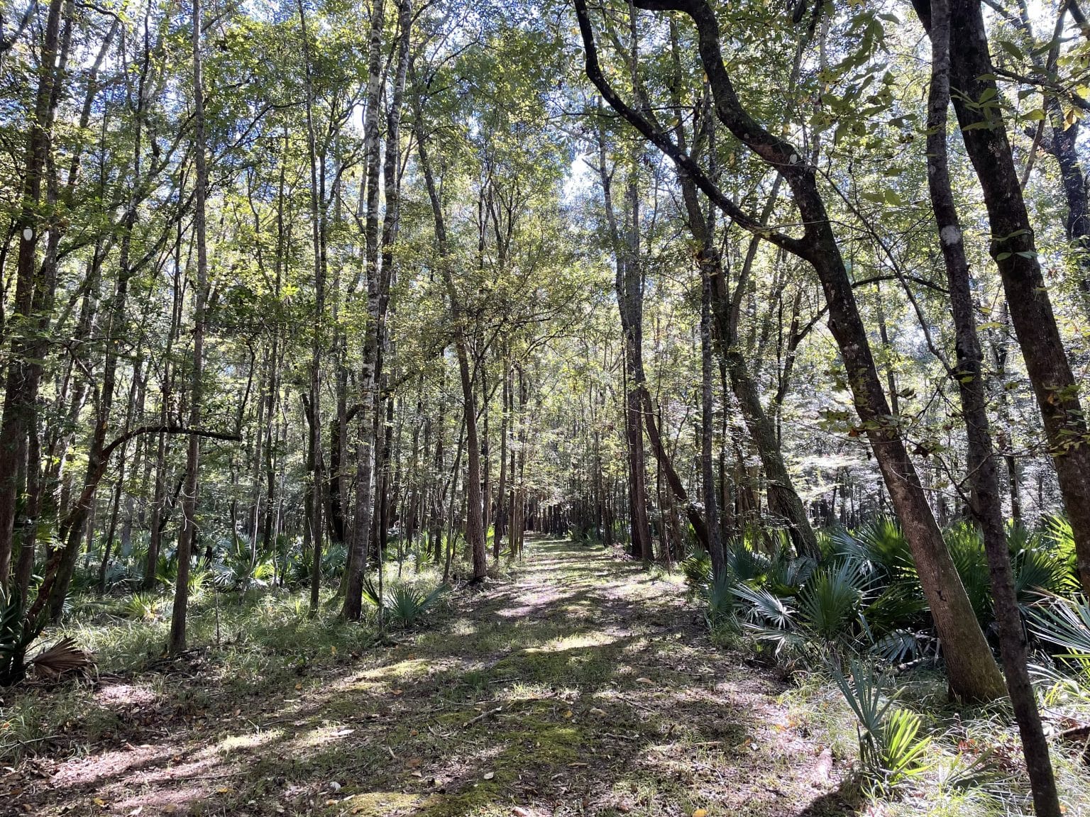 Conservation Easements are an Important Tool for Preserving Land in ...