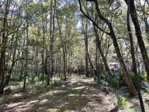 Conservation Easements are an Important Tool for Preserving Land in ...