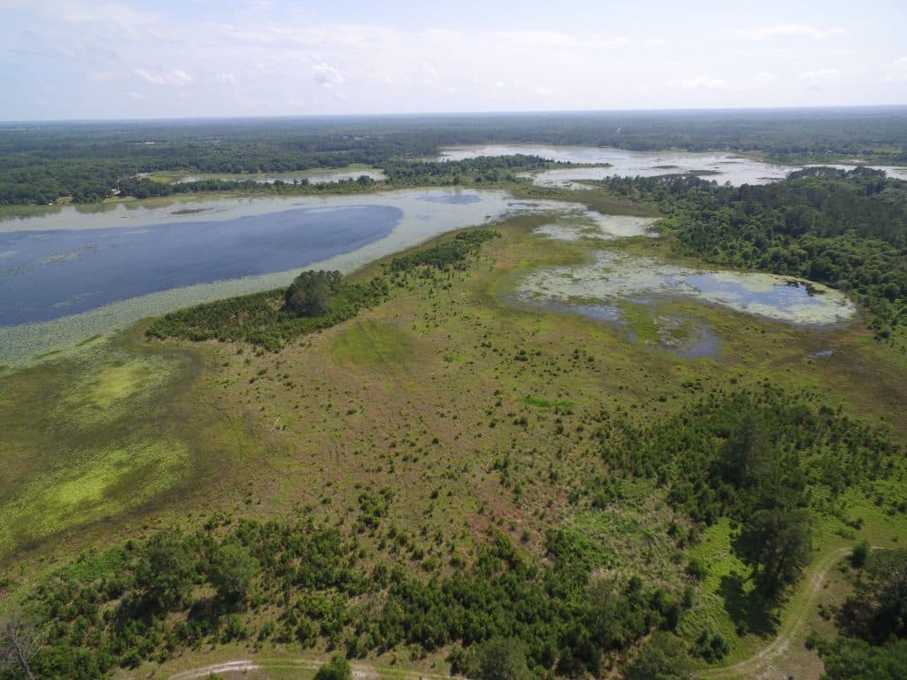 25 Weeks of Memories for 25 Years of Conservation - Smith Lake Preserve ...