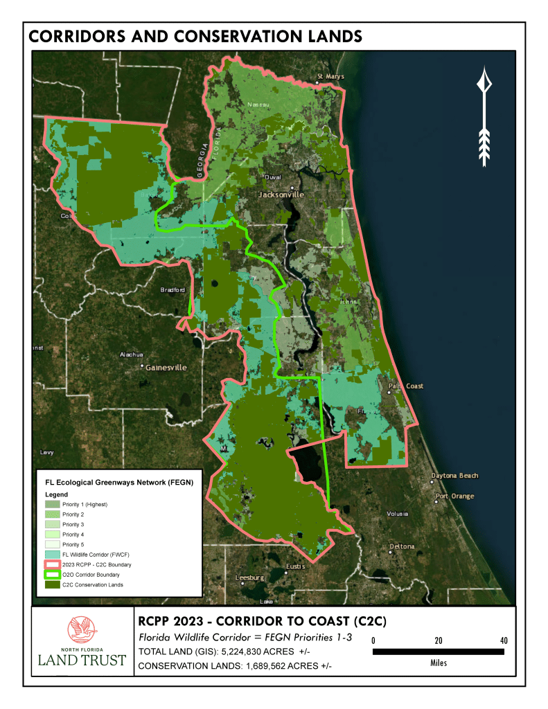 25 Weeks of Memories for 25 Years of Conservation - The Corridor to ...