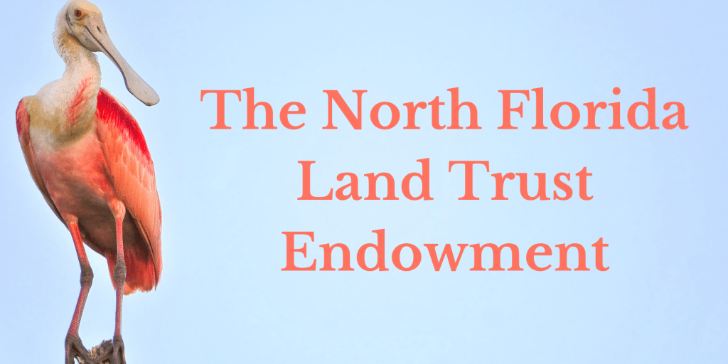 25 Weeks of Memories for 25 Years of Conservation - The NFLT Endowment ...